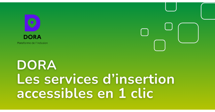 DORA, tous les services d’insertion mobilisables en 1 clic - Cap emploi 47